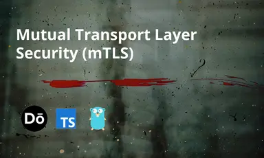 Mutual Transport Layer Security (mTLS)